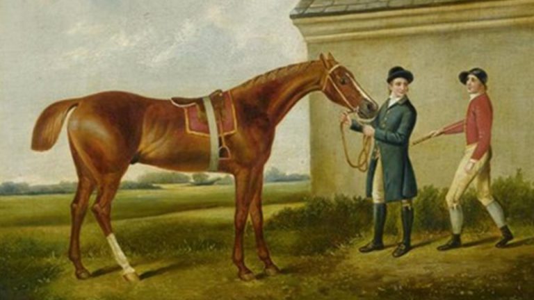 Bar One Racing – Betting News at Bar One Racing