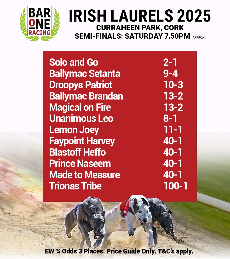 Ballymac Setanta Equals Track Record as Bar One Racing Irish Laurels ...