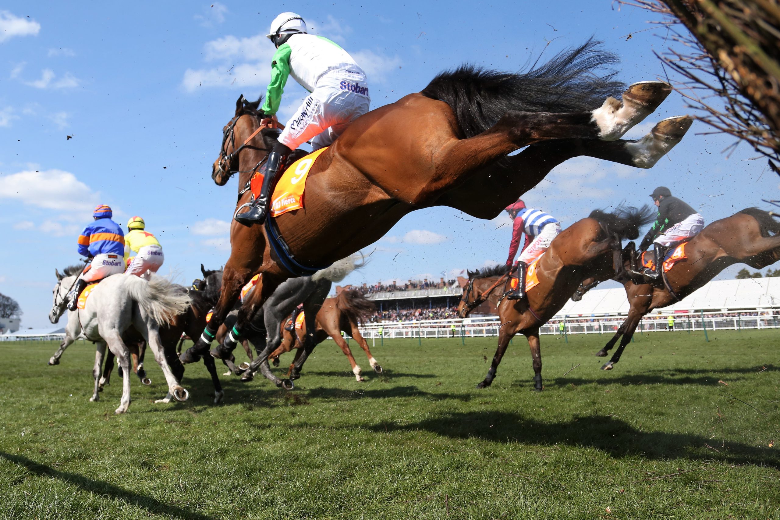 Scottish Grand National 2026: Everything You Need to Know – Date, Time ...