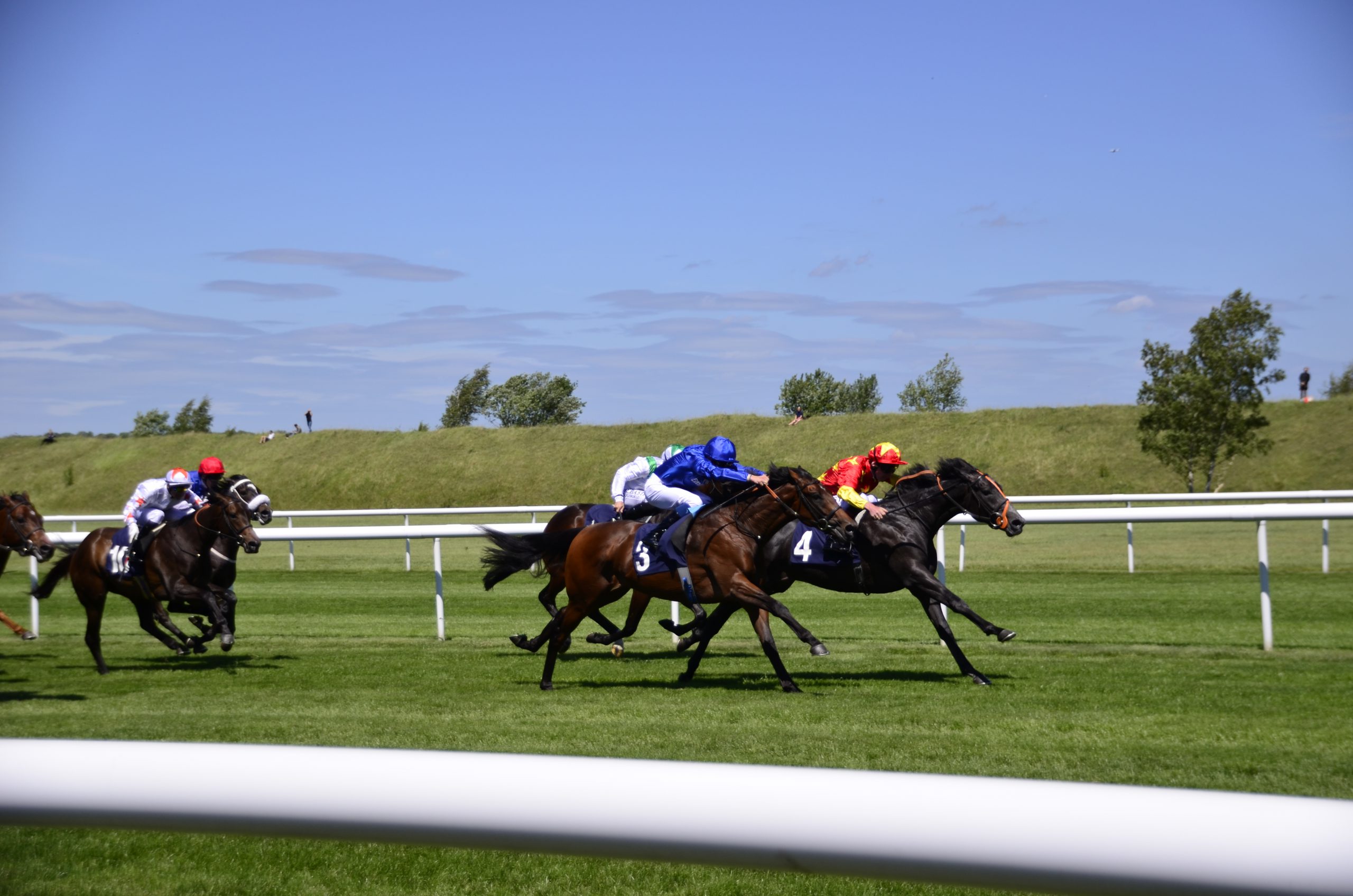 2026 1,000 Guineas Preview: Runner-by-runner Guide, Key Trends & Latest ...