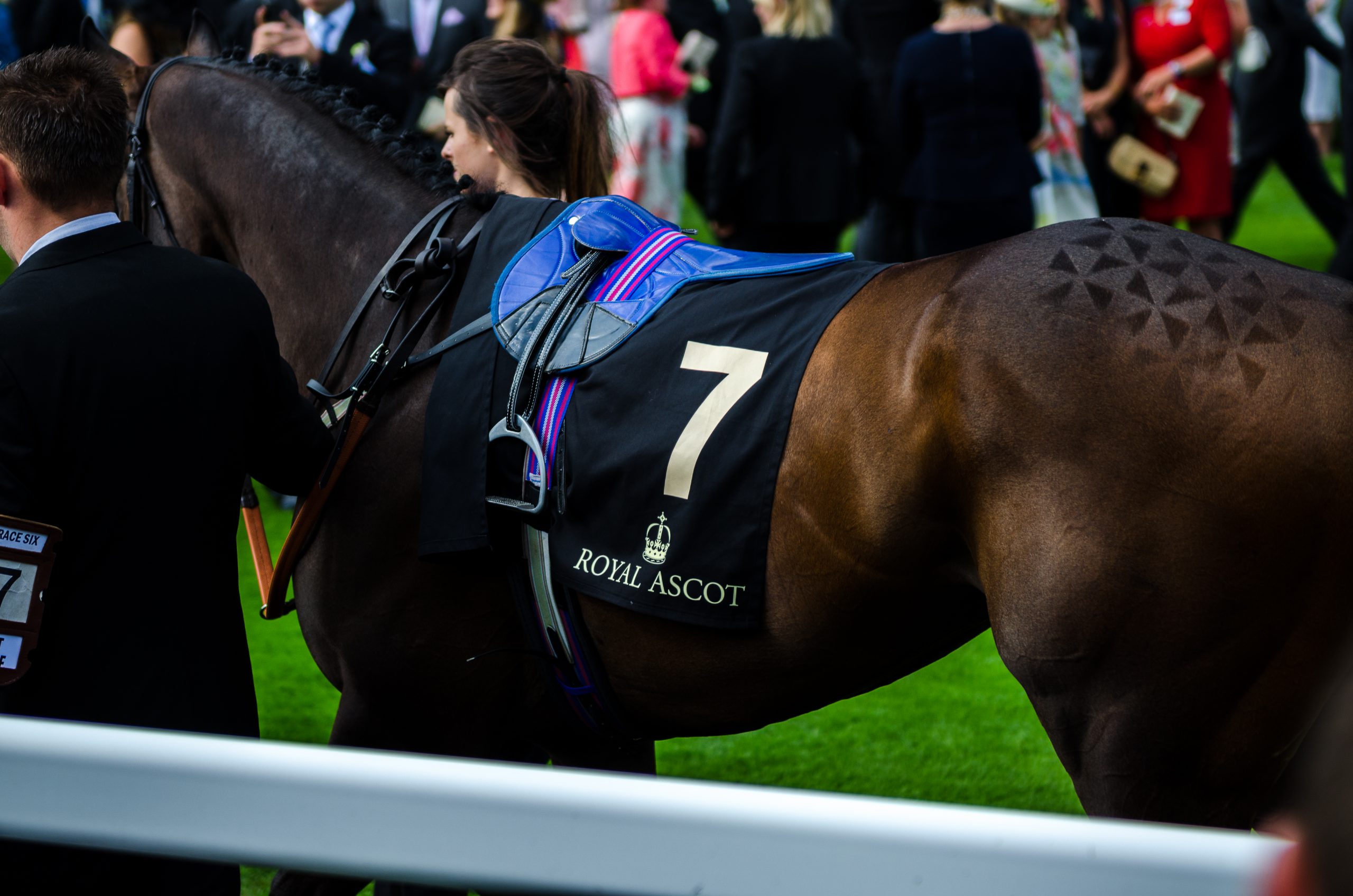 Prince of Wales’s Stakes 2026 Preview, Trends & Runner-by-Runner Guide ...